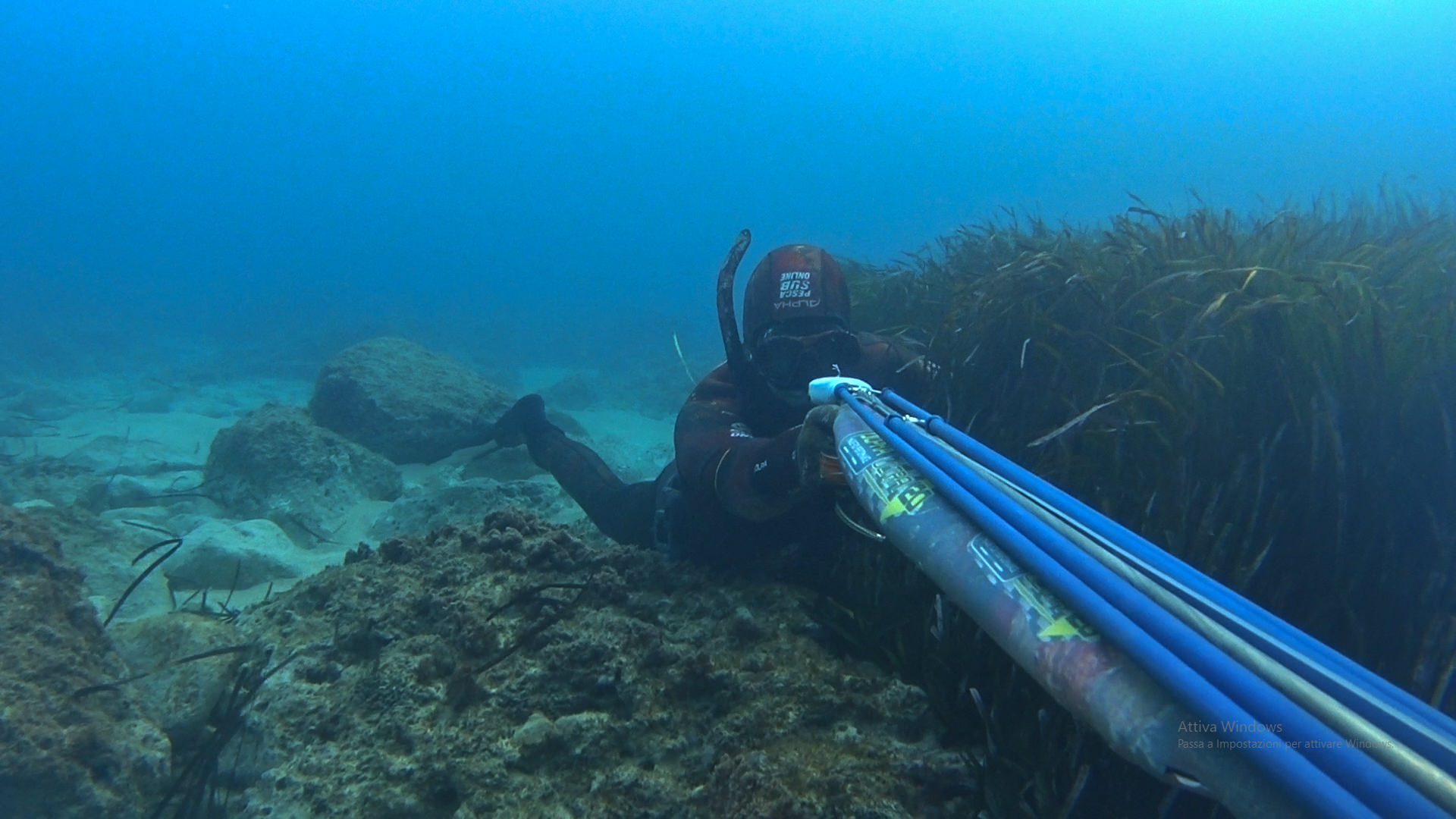 Pescasub tutto sulla pesca sub e apnea, pesca subacquea