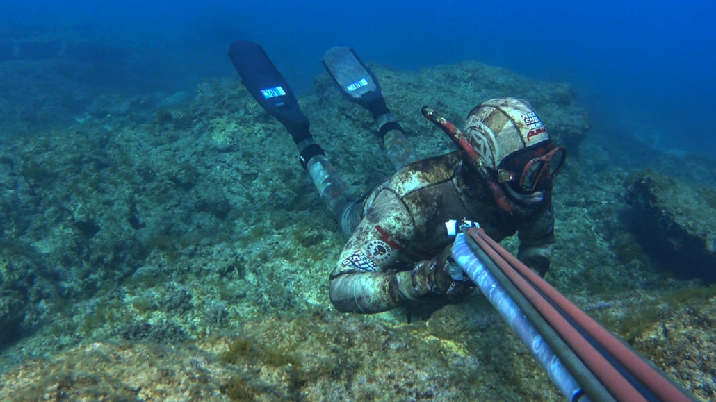 Pesca sub video di pesca in apnea, video e foto di pesca subacquea