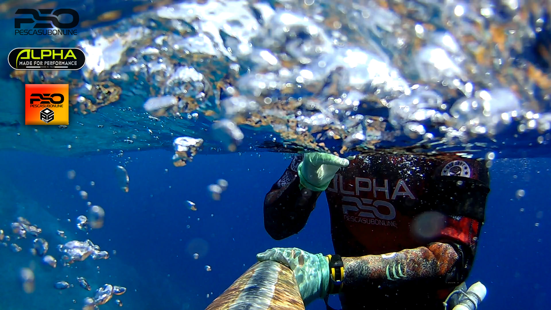 Alpha tailored Spearfishing Wetsuit | Pescasub