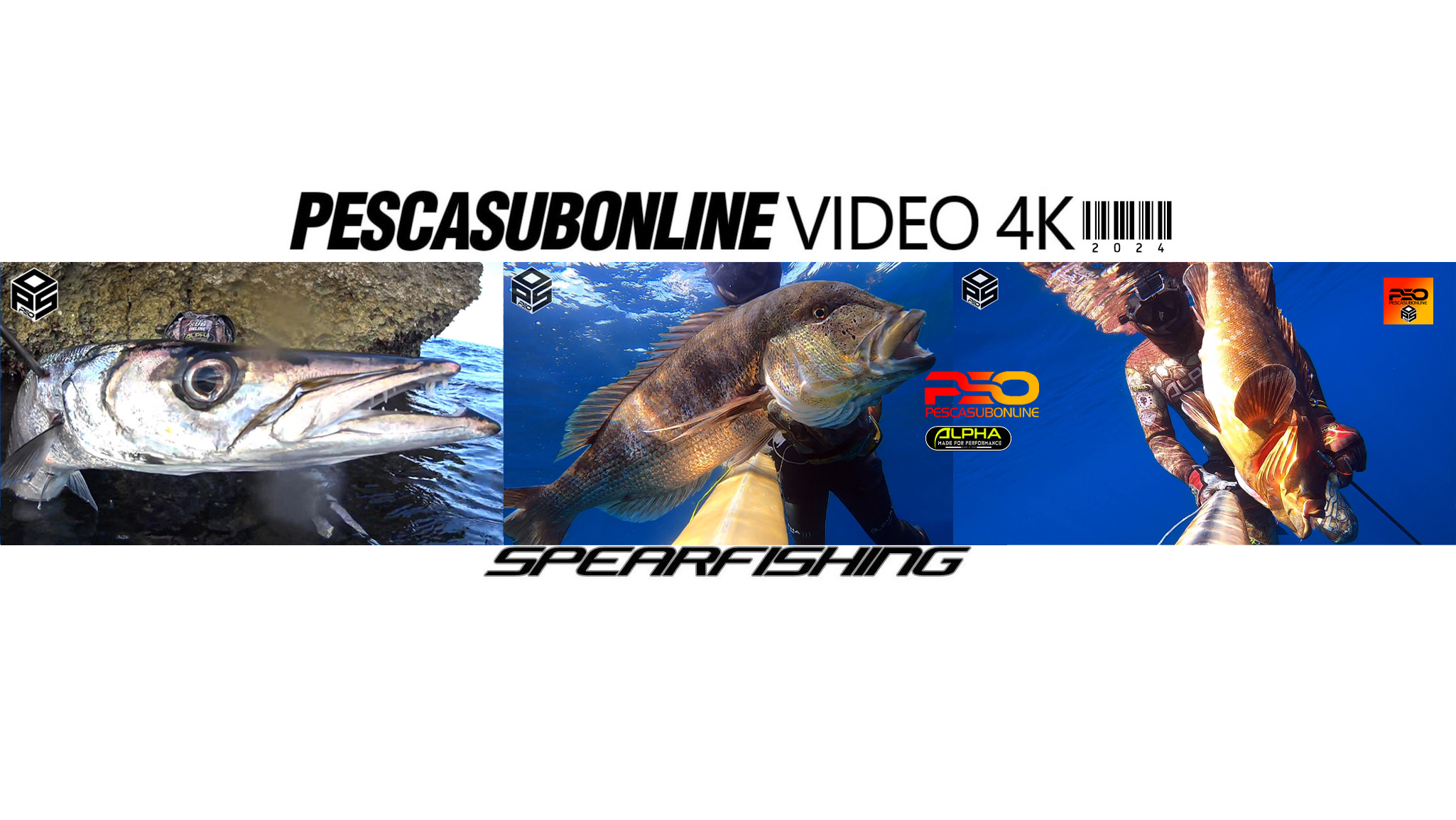 Pescasub Sardegna video di pesca subaquea e attrezzature