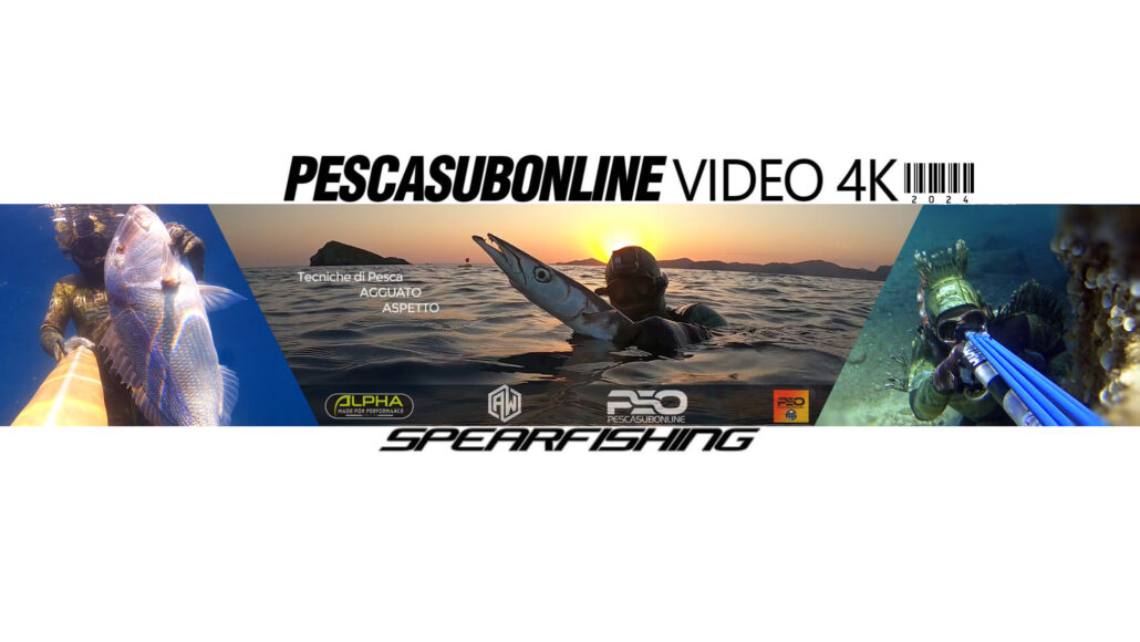 video pescasub APNEA 2025 | Pescasub